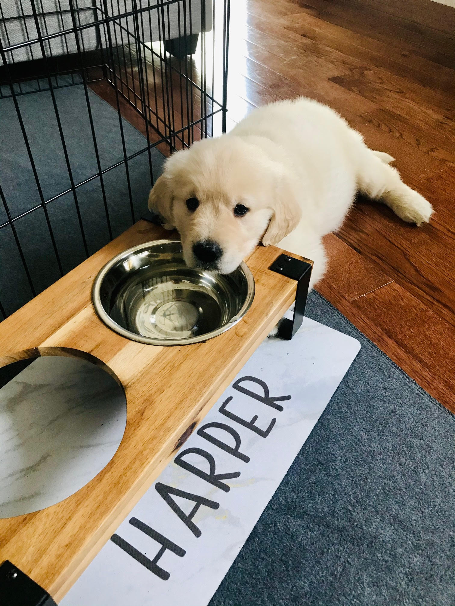 Harper
